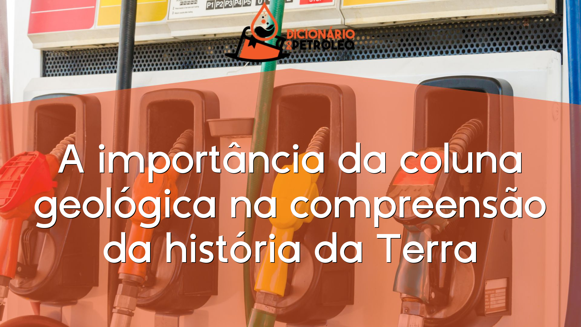A importância da coluna geológica na compreensão da história da Terra