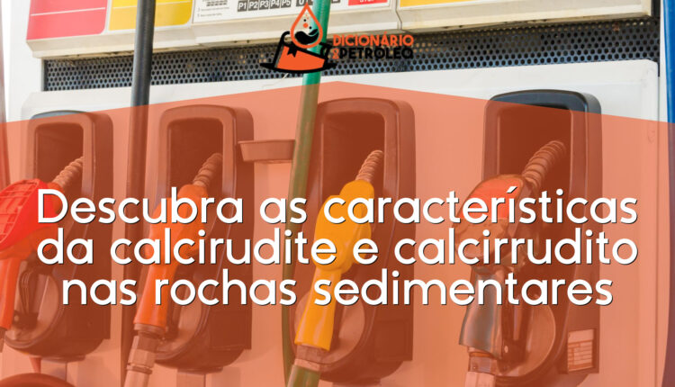 Descubra as características da calcirudite e calcirrudito nas rochas ...