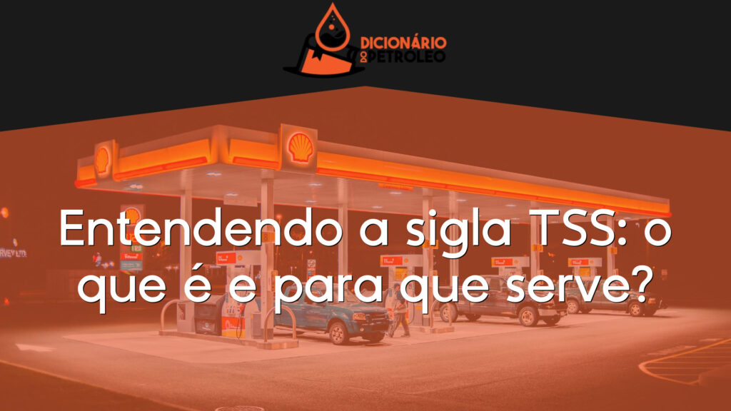 Entendendo a sigla TSS: o que é e para que serve?