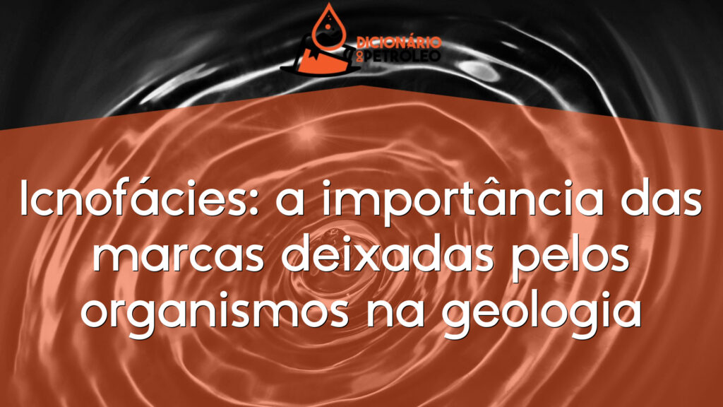 Icnofácies: a importância das marcas deixadas pelos organismos na geologia