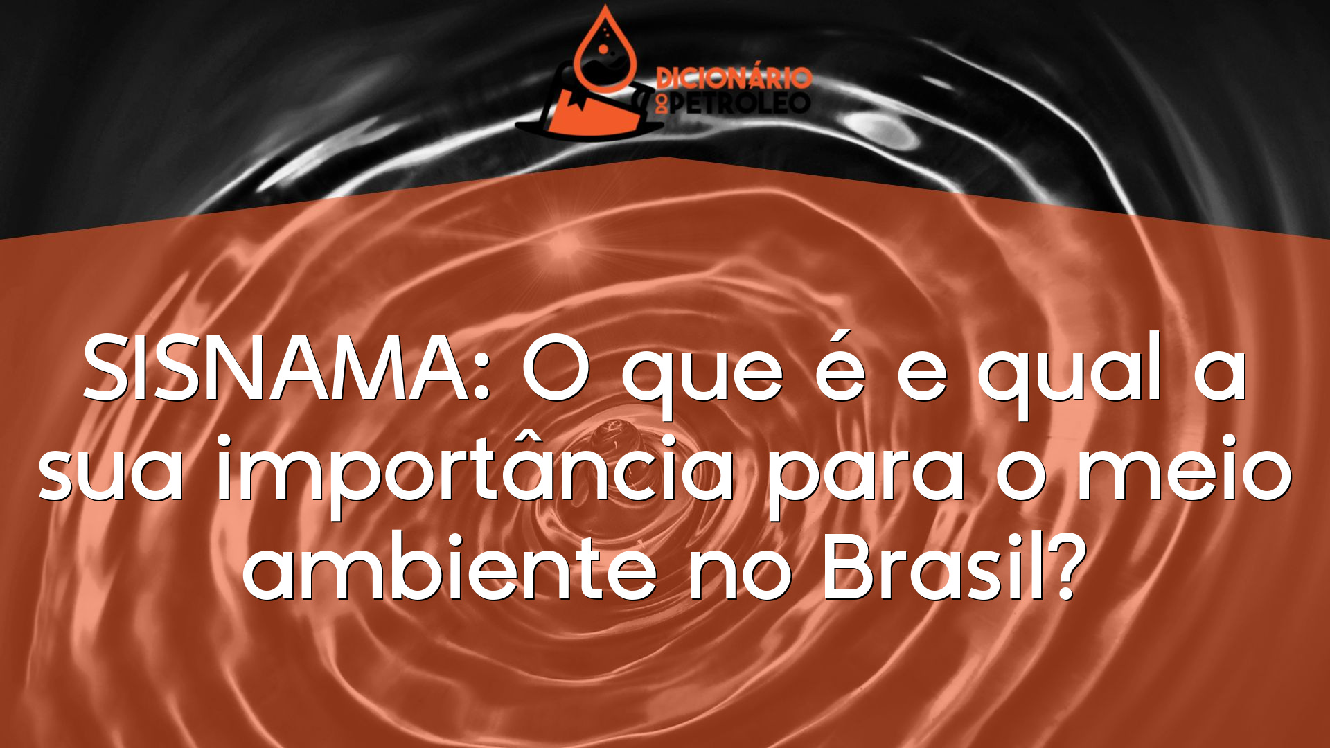 SISNAMA: O que é e qual a sua importância para o meio ambiente no Brasil?