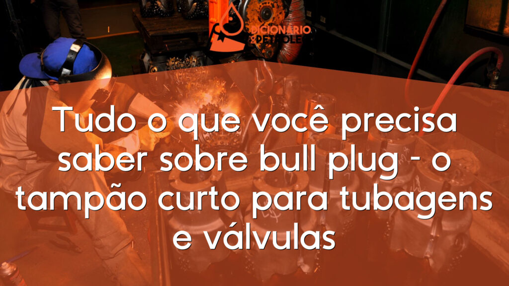 Tudo o que você precisa saber sobre bull plug - o tampão curto para tubagens e válvulas